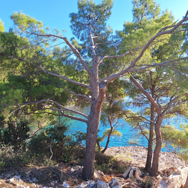 Comfortable holiday house by the sea, in a secluded area in the island ...